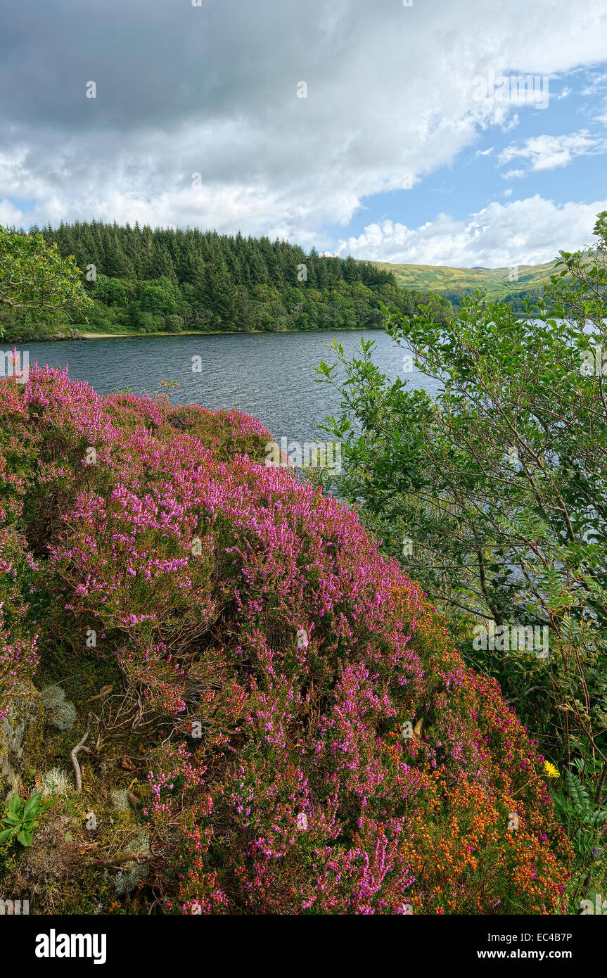 Tayvallich hi-res stock photography and images - Alamy