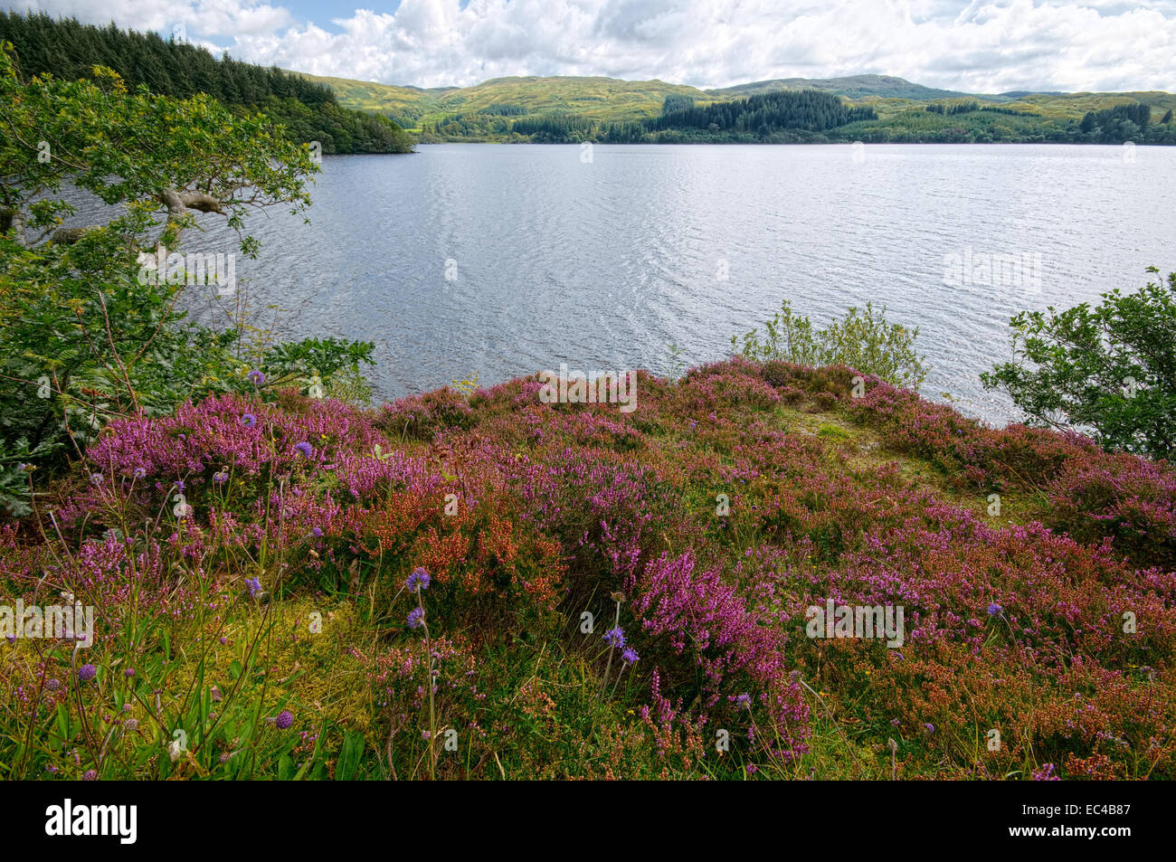 Tayvallich in the Highlands of Scotland Stock Photo - Alamy
