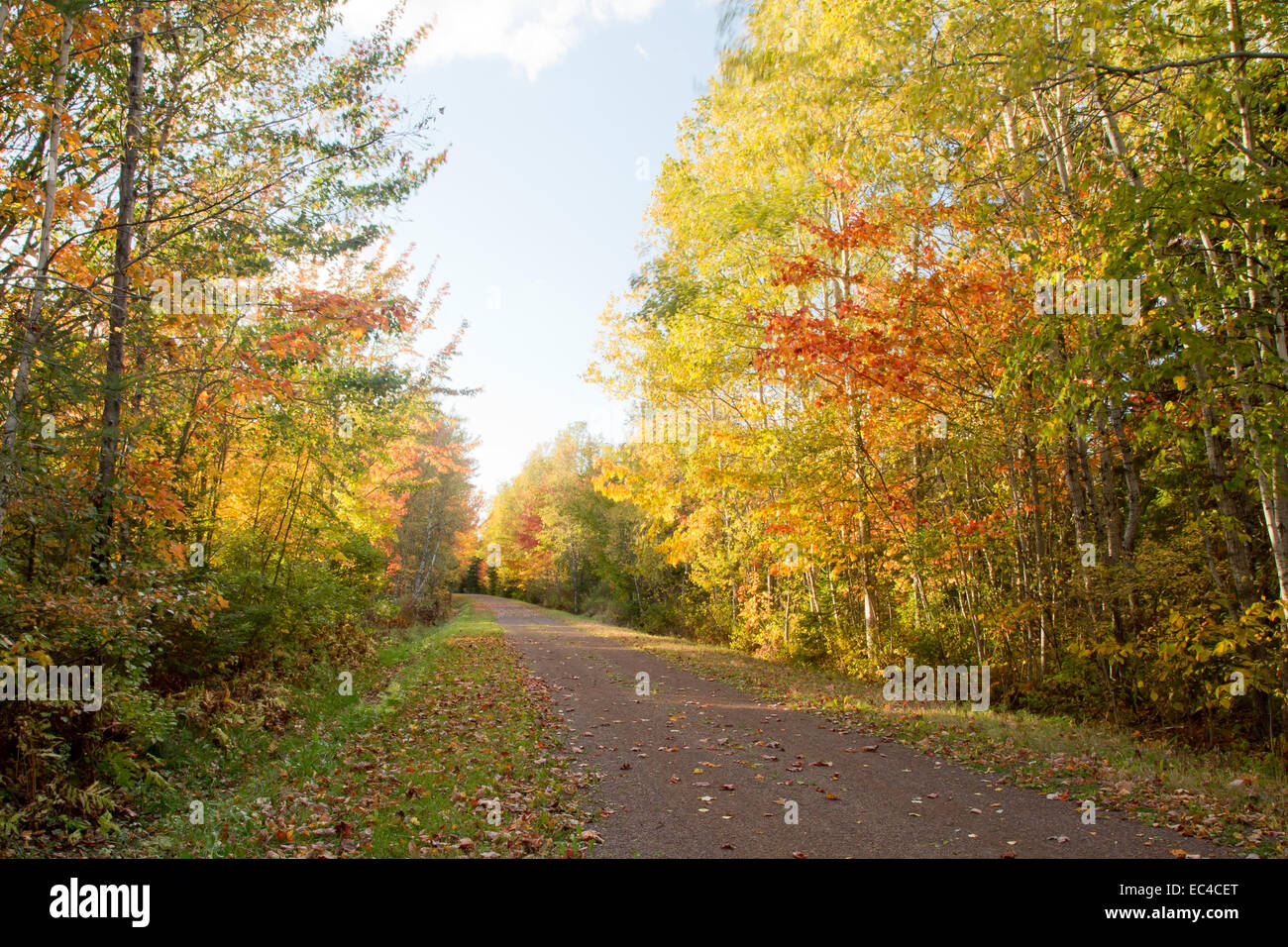 Edward coleman hi-res stock photography and images - Alamy