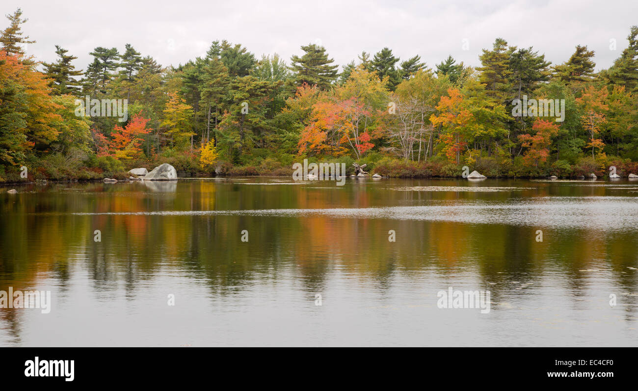 Halifax nova scotia fall hi-res stock photography and images - Alamy