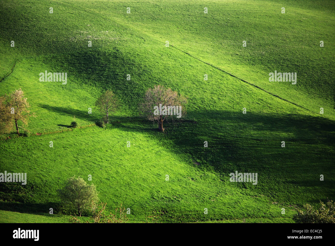 Areareported hi-res stock photography and images - Alamy