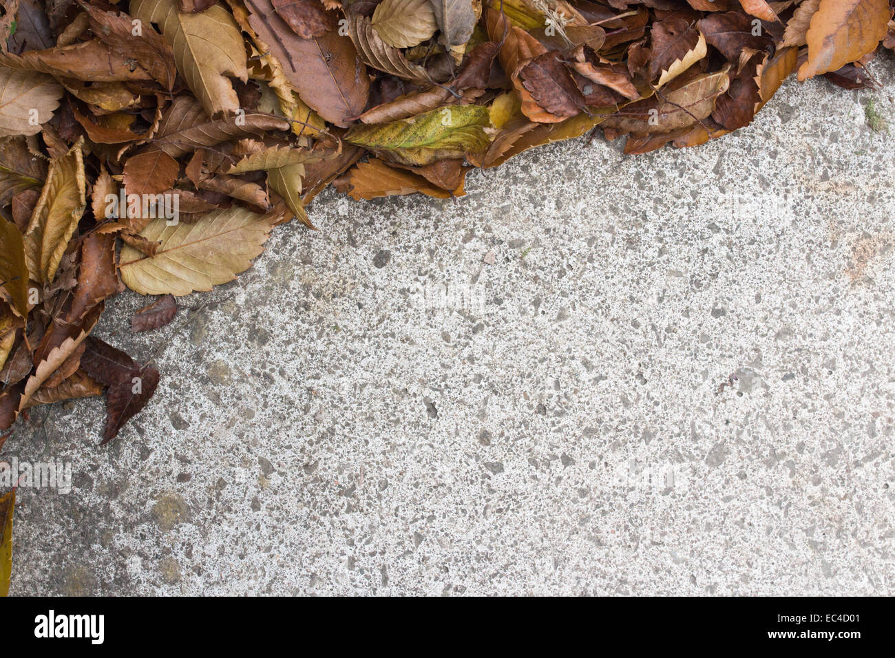 autumn background with quarter leaf border Stock Photo - Alamy