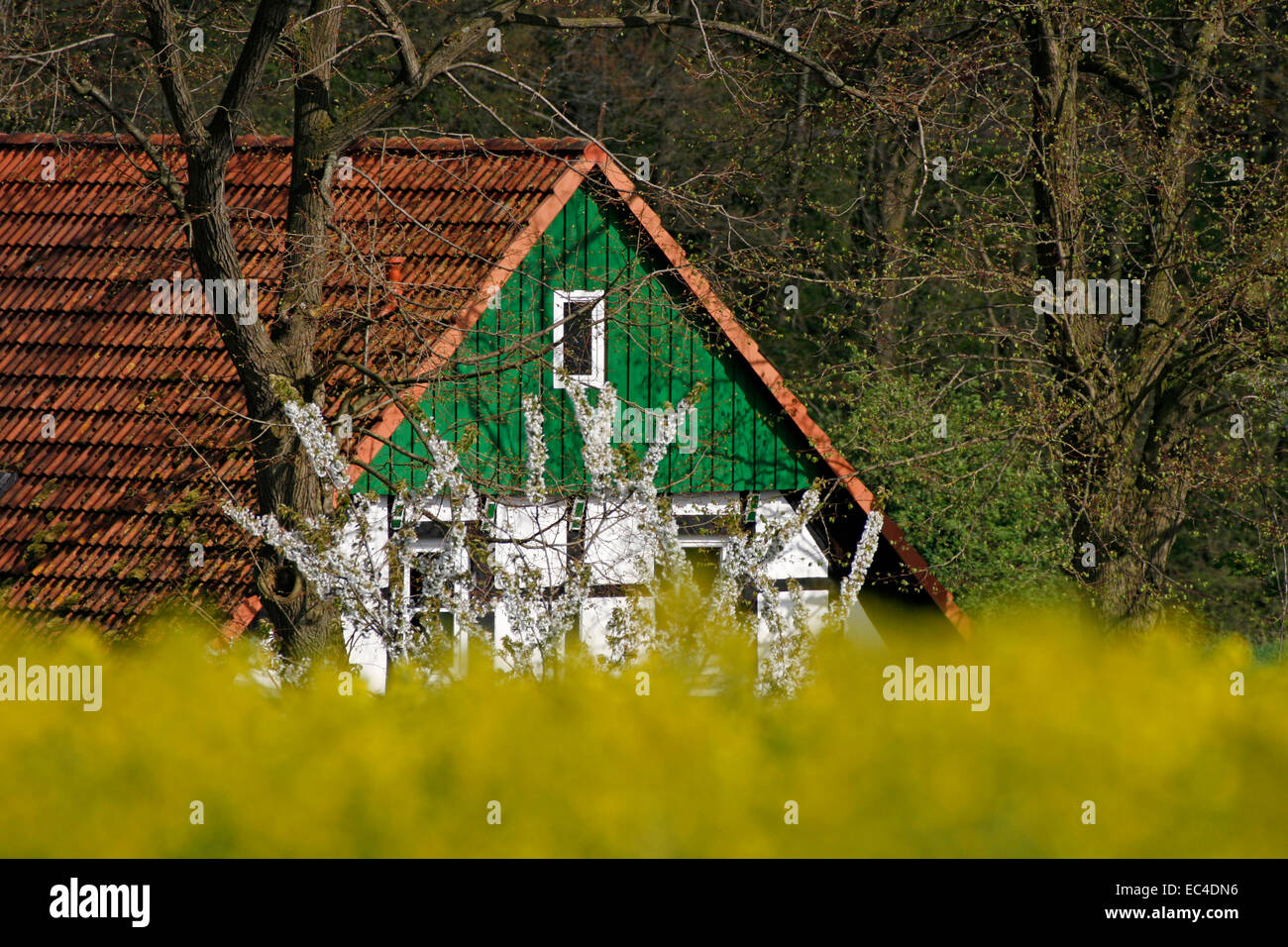Farm with field in Georgsmarienhuette, LOwer Saxony, Germany, Europe ...