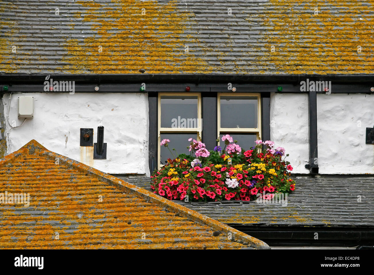 Britannic house hi-res stock photography and images - Alamy