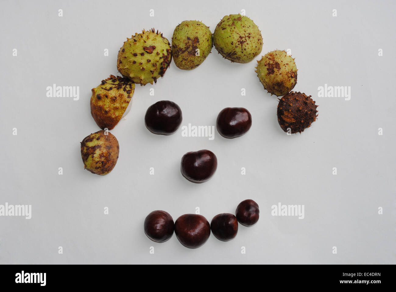 Face of fall Stock Photo - Alamy