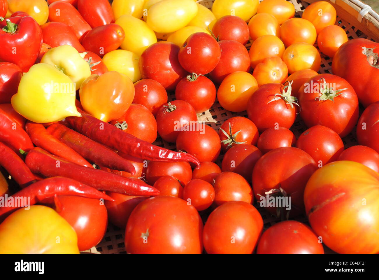 Tomatoes and Pepperonis Stock Photo - Alamy