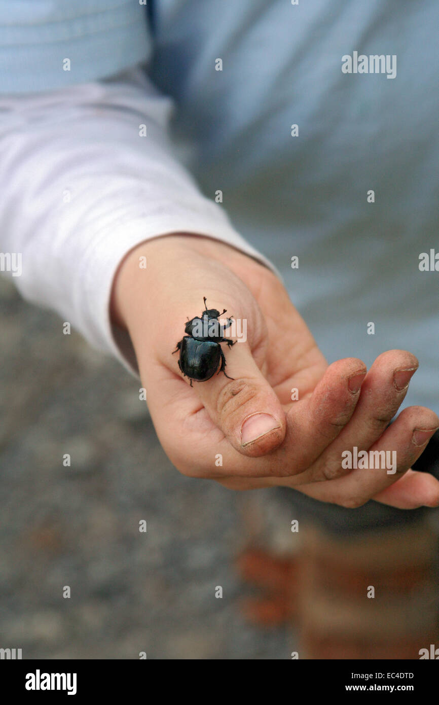 child with insect on his hand Stock Photo - Alamy