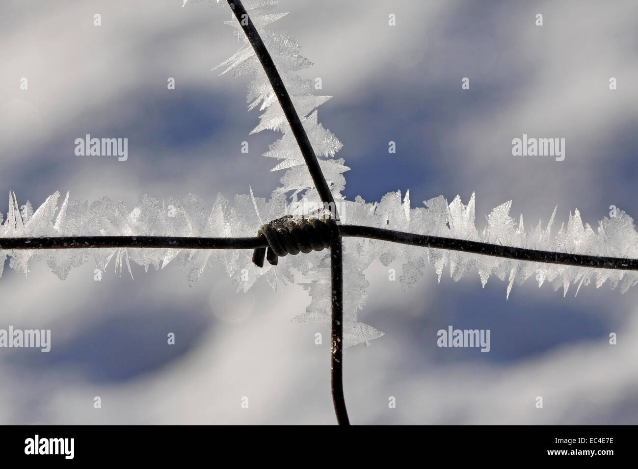 Federal wire hi-res stock photography and images - Alamy