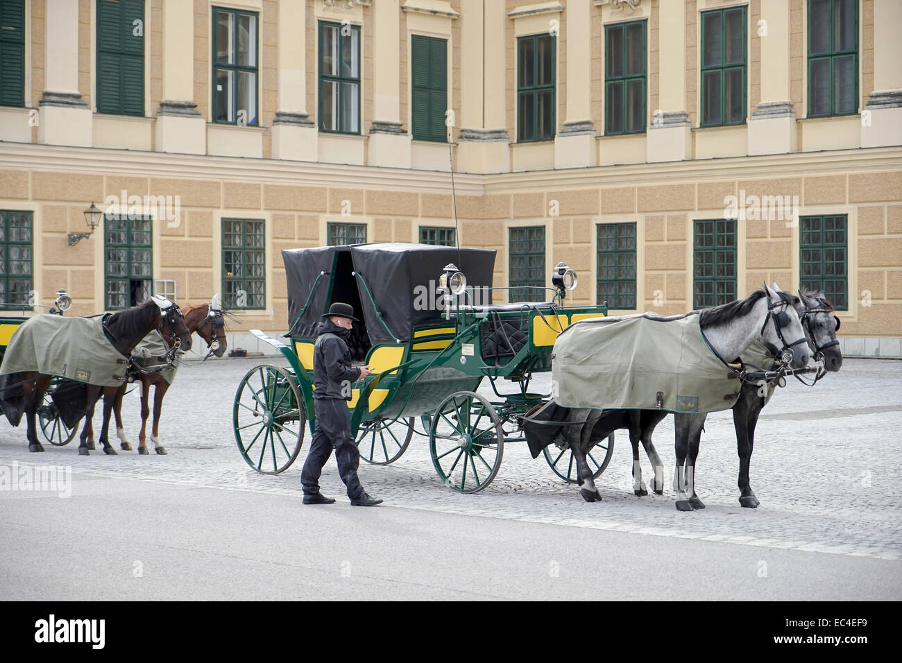 Imperial monarch horse hi-res stock photography and images - Alamy