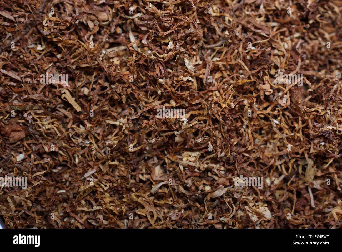 Shag tobacco hi-res stock photography and images - Alamy