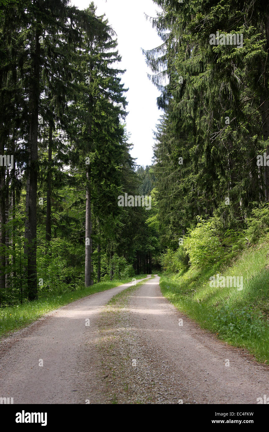 Lonely way hi-res stock photography and images - Alamy