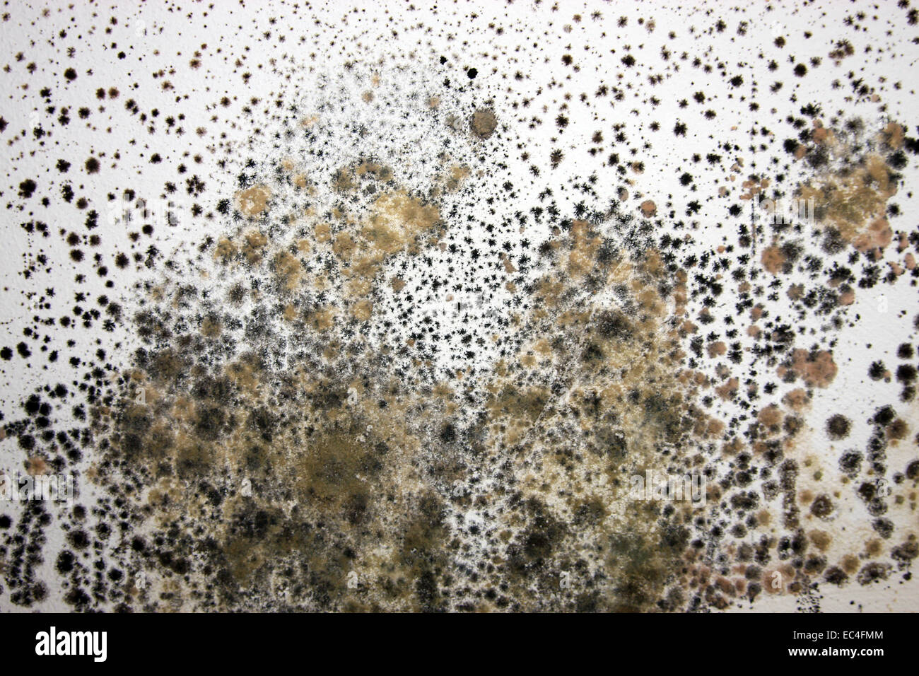 Medicine mold hi-res stock photography and images - Alamy