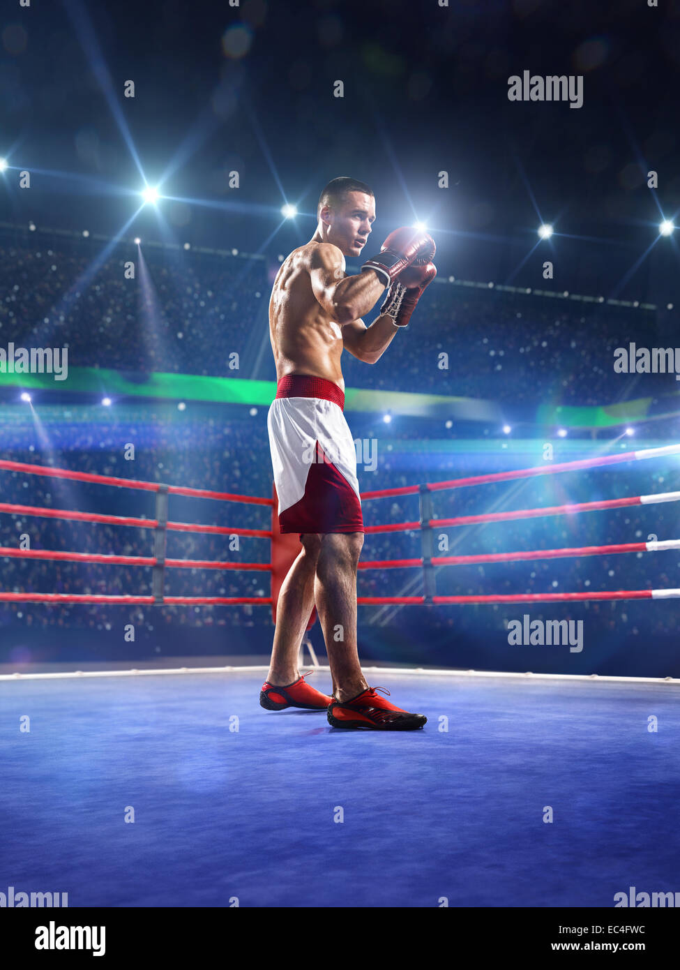 Professionl boxer is standing on the ring Stock Photo - Alamy