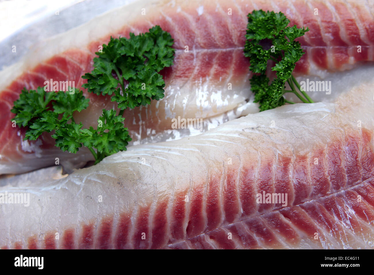 Seelachs filet hi-res stock photography and images - Alamy