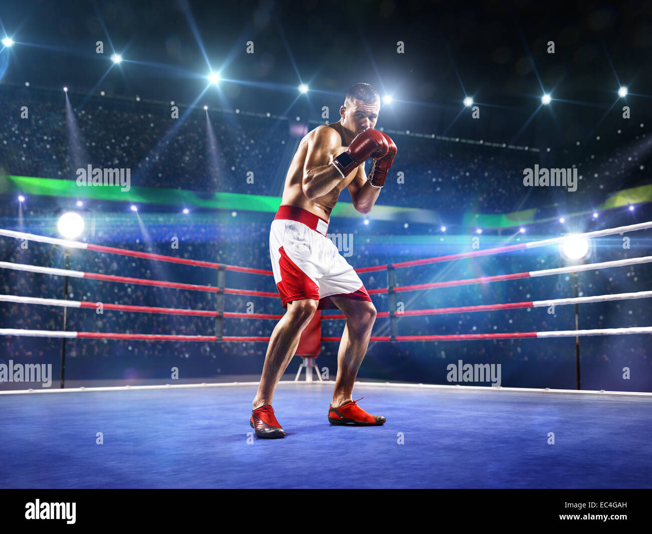 Professionl boxer is standing on the ring Stock Photo - Alamy