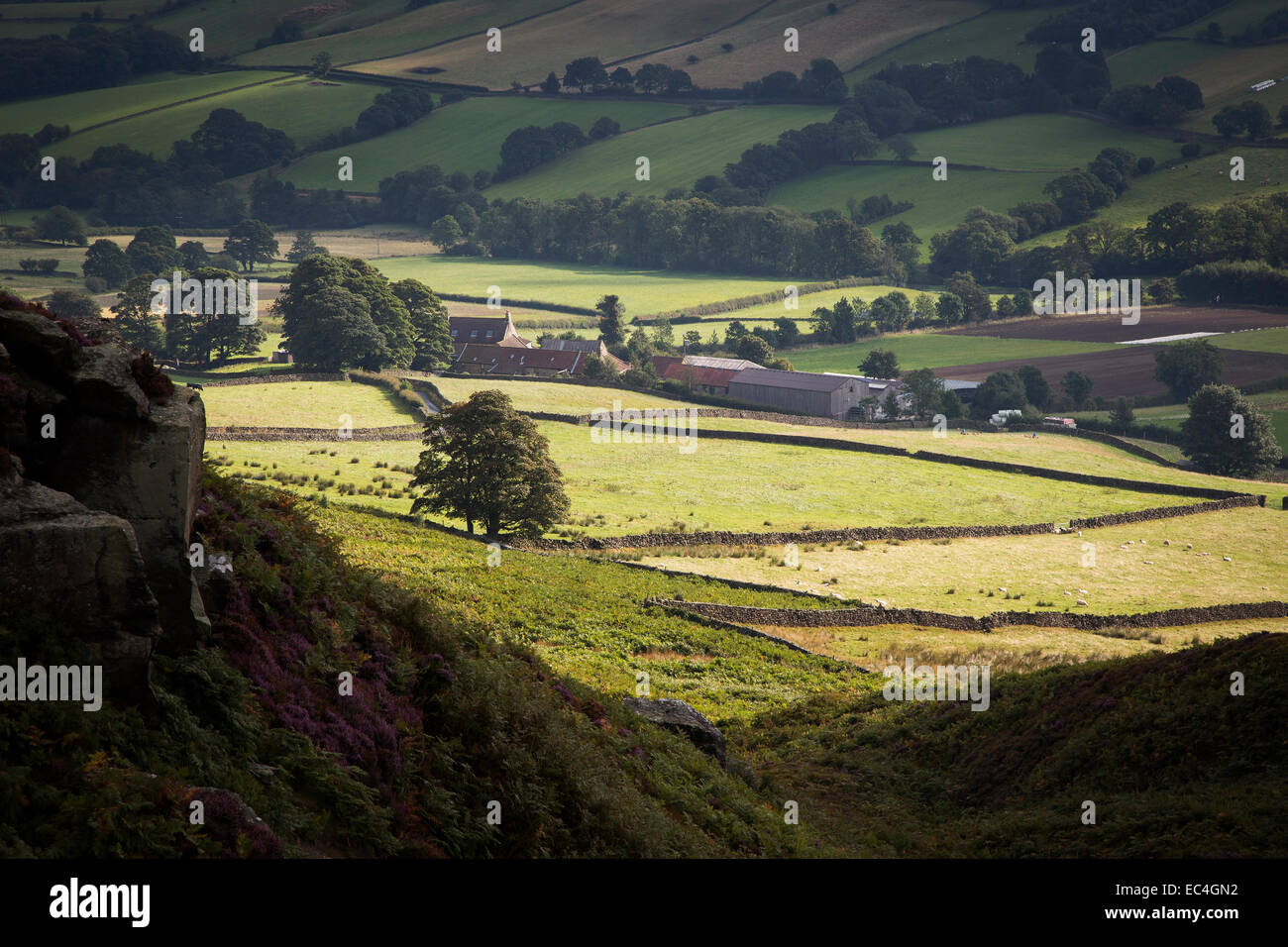 Danby Dale, North York Moors National Park Stock Photo - Alamy