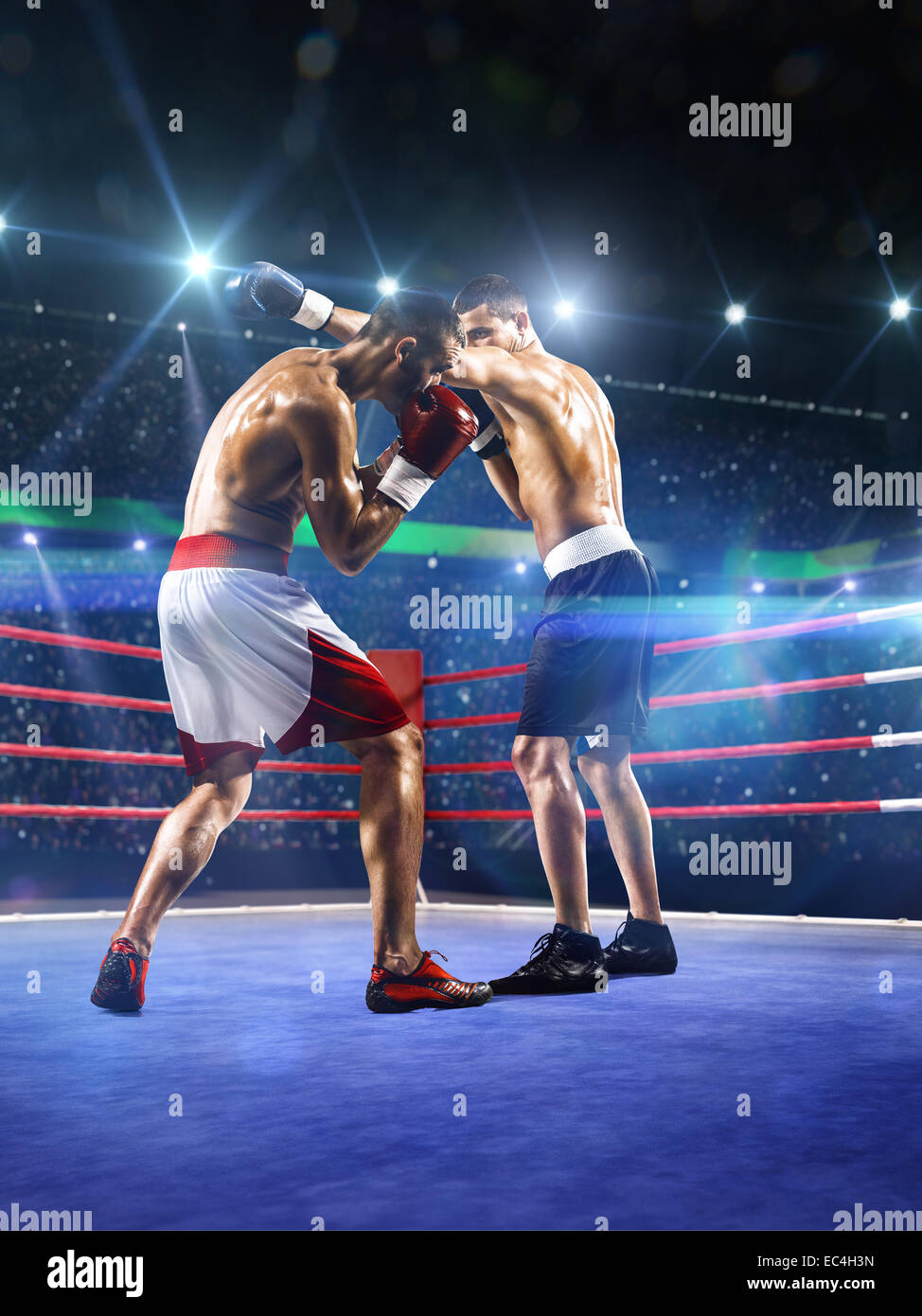 Two professionl boxers are fighting on arena Stock Photo - Alamy