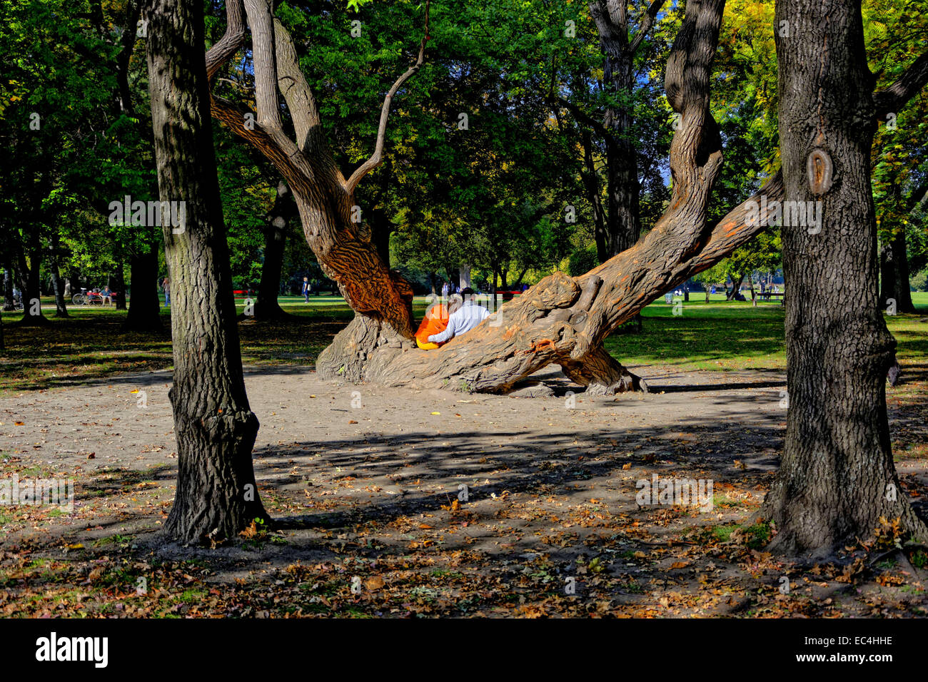 Young couple sitting on the love tree Stock Photo - Alamy