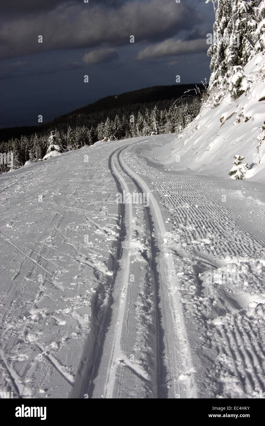 long country trail running Stock Photo - Alamy
