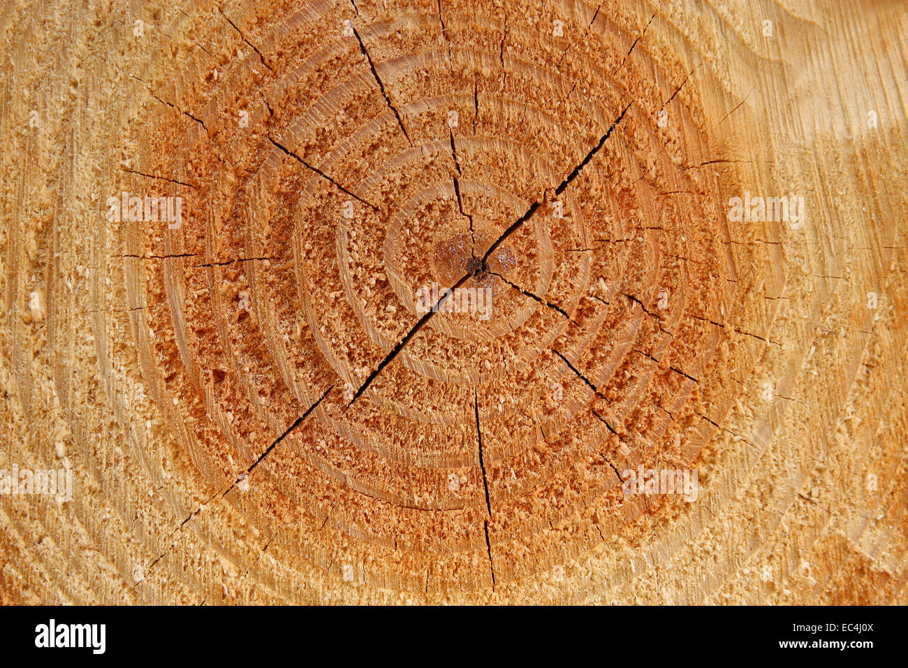 Resourcerings hi-res stock photography and images - Alamy