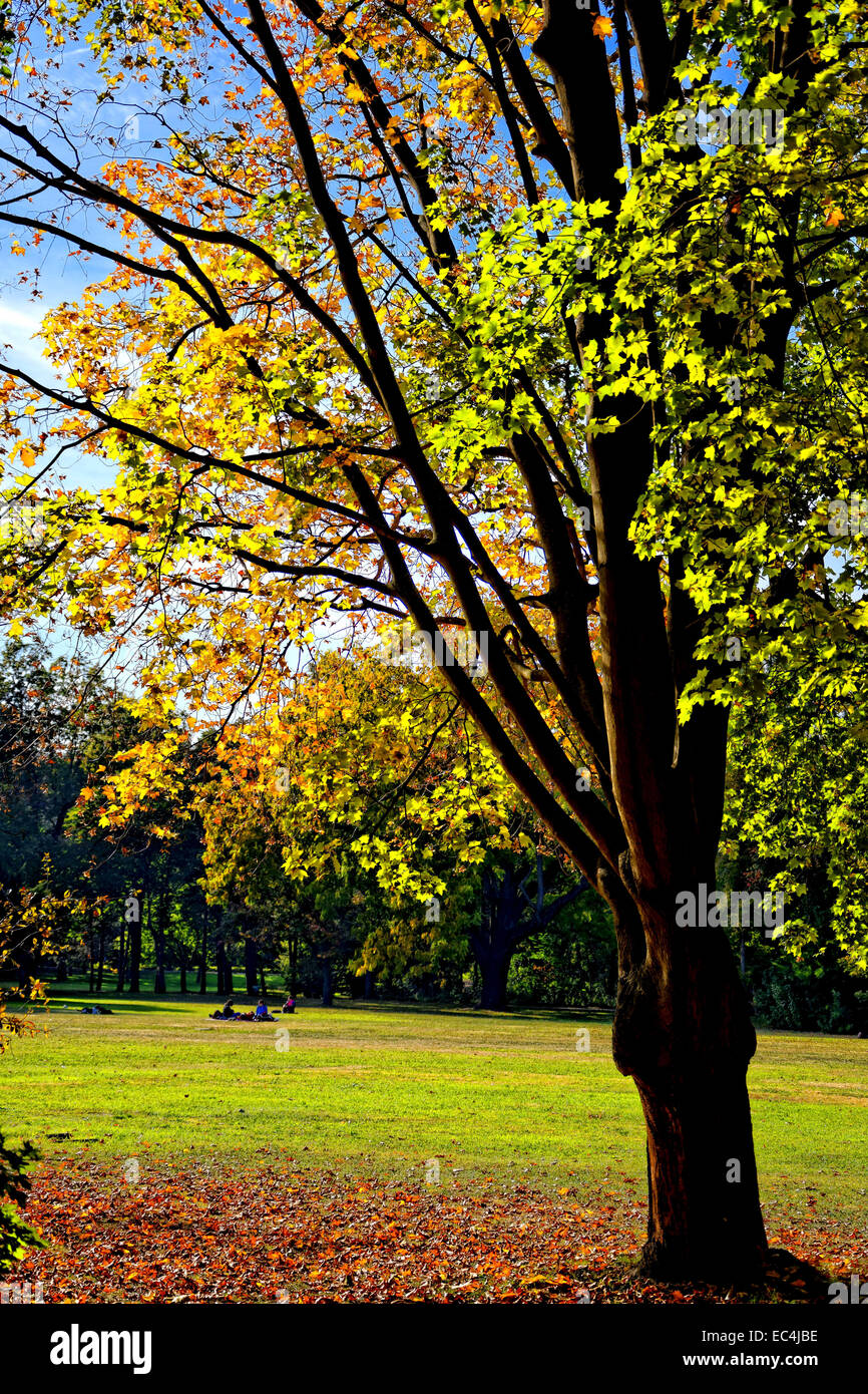 Sunbathing area in the autumn light Stock Photo - Alamy
