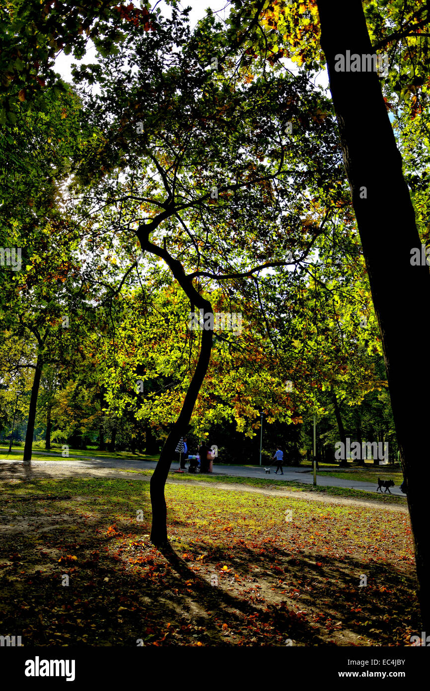 Autumn park landscape Stock Photo - Alamy