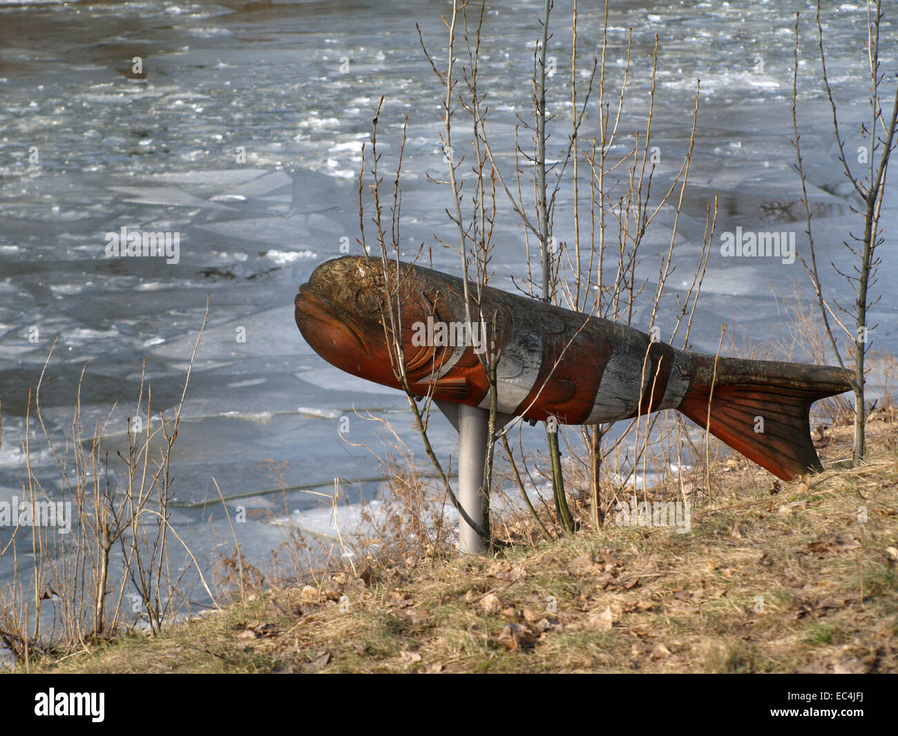 Finding nemo hi-res stock photography and images - Alamy