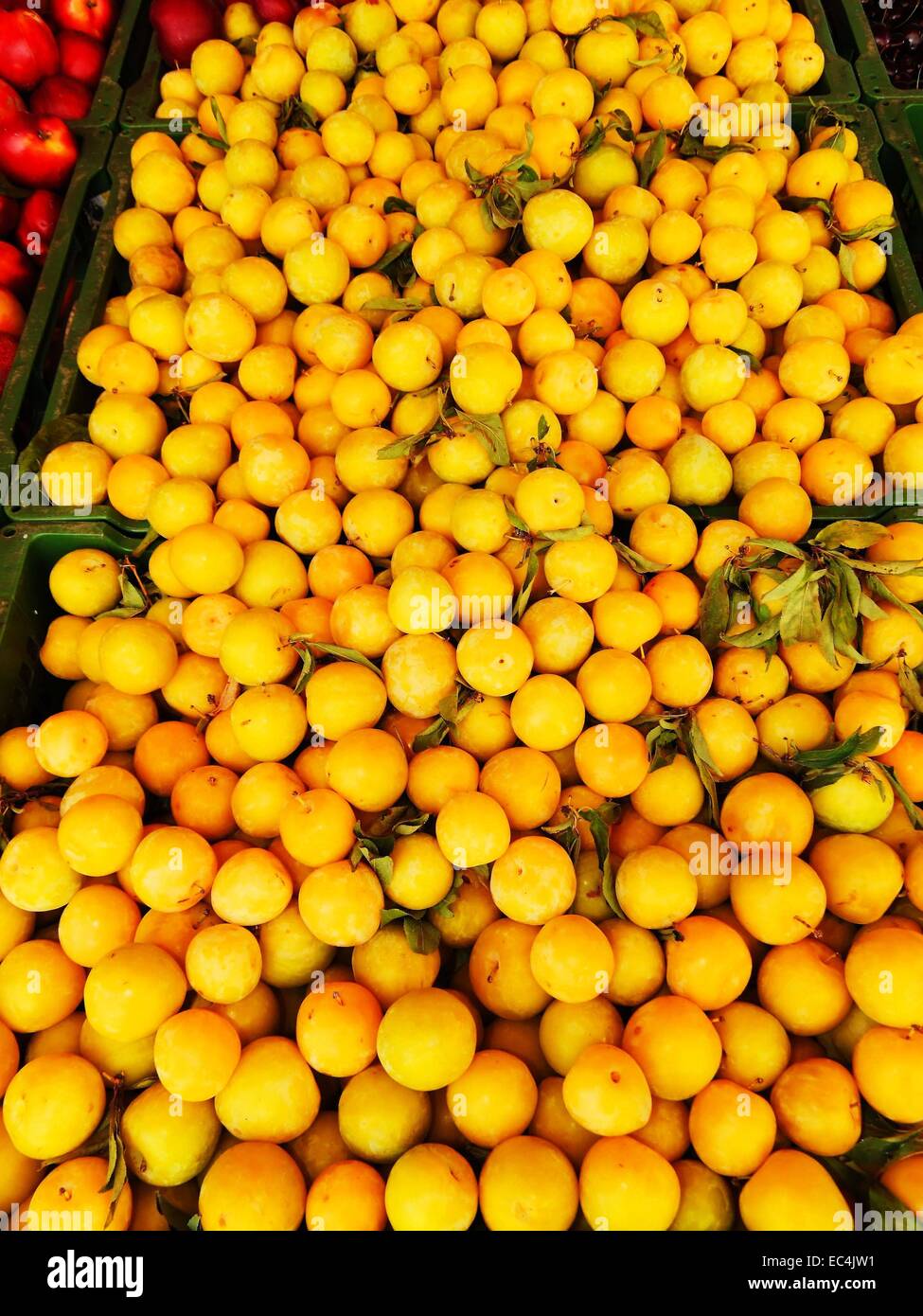 Ringlotten hi-res stock photography and images - Alamy