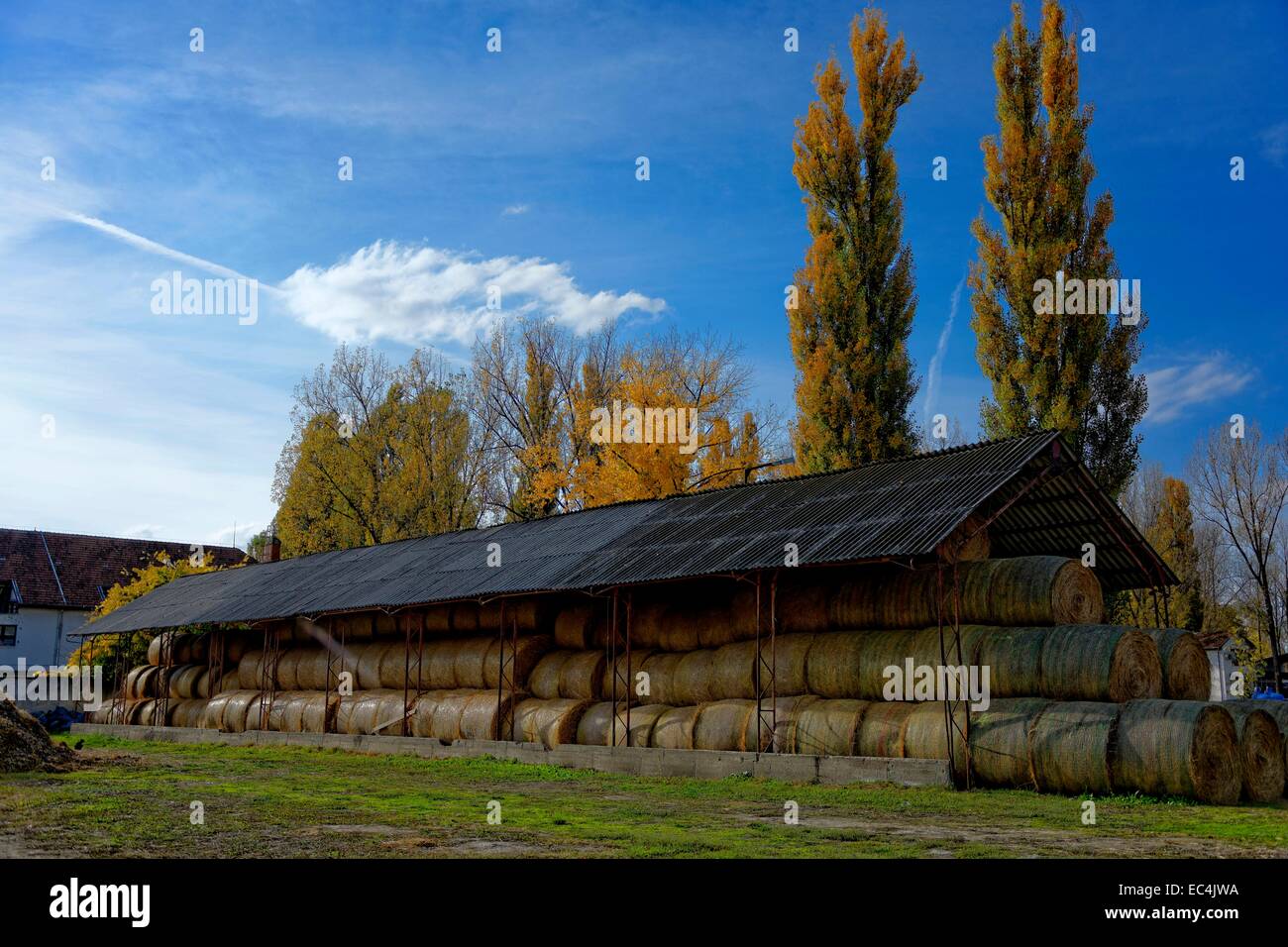 Storage of baled silage Stock Photo - Alamy