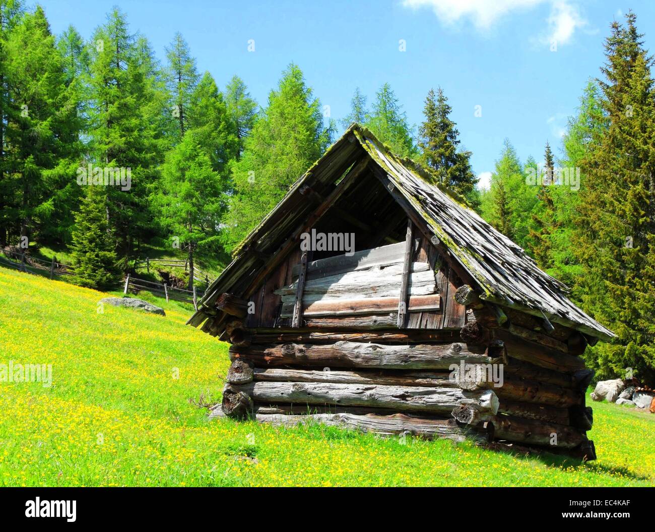 Old Hay hut on the Alpine pasture Stock Photo - Alamy