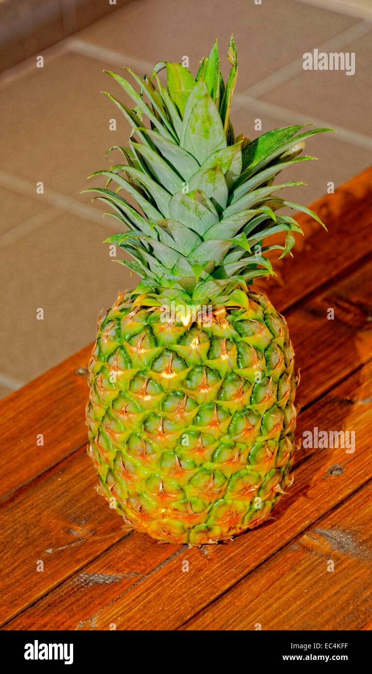 Individual pineapple hi-res stock photography and images - Alamy