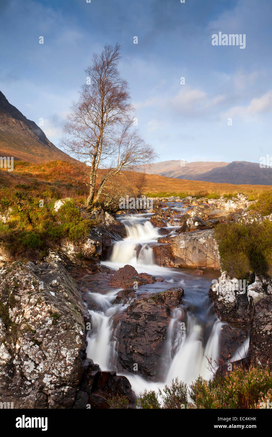 Waterfall and tree along the River Coupall, Glen Coe, Scotland Stock ...