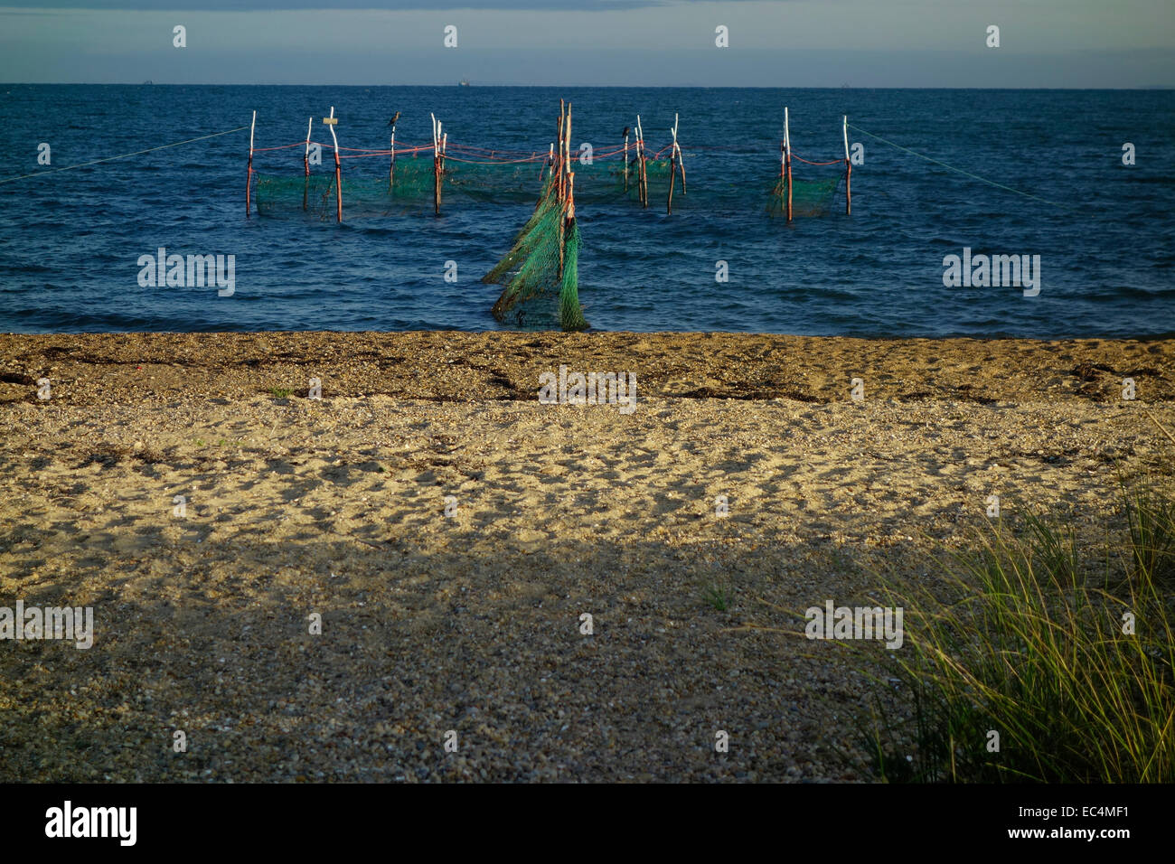 Fort pond bay montauk hi-res stock photography and images - Alamy