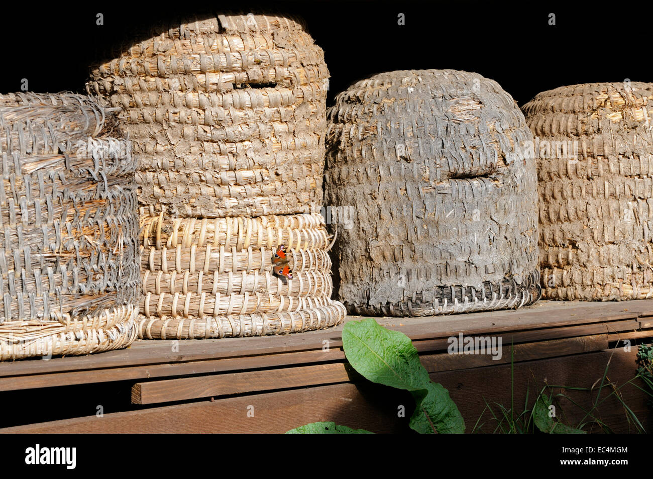 Bee skeps hi-res stock photography and images - Alamy