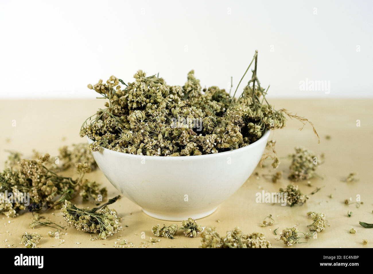 Dried yarrow hi-res stock photography and images - Alamy