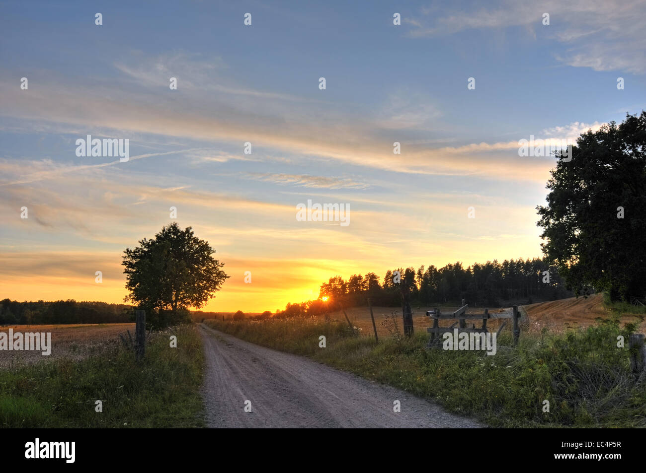 late summer evening Stock Photo - Alamy