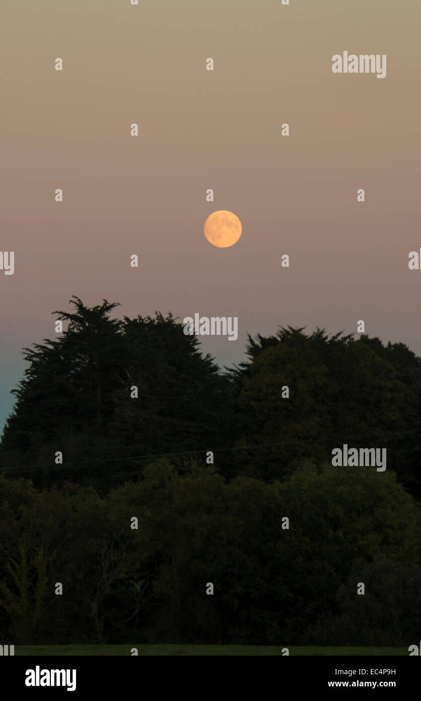 Moon and sunset hi-res stock photography and images - Alamy