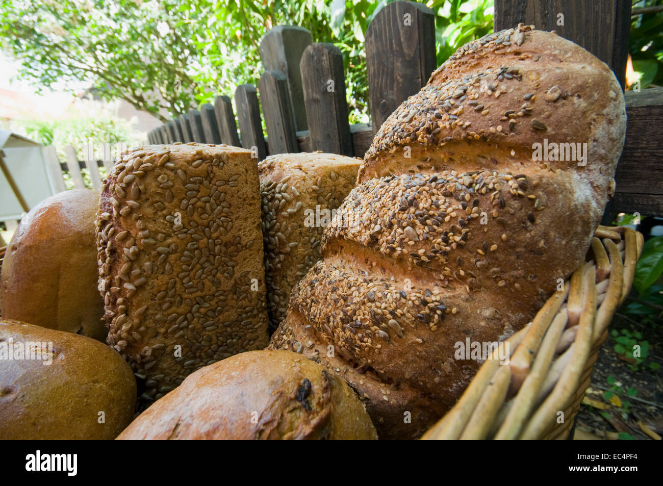 bunch of fresh baked bread in a basket Stock Photo - Alamy
