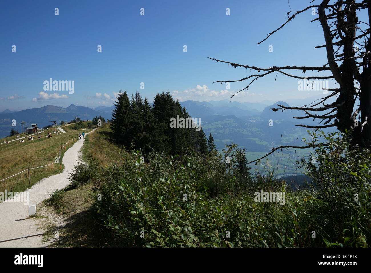 Panorama Trail at Ross Field height ring road Stock Photo - Alamy