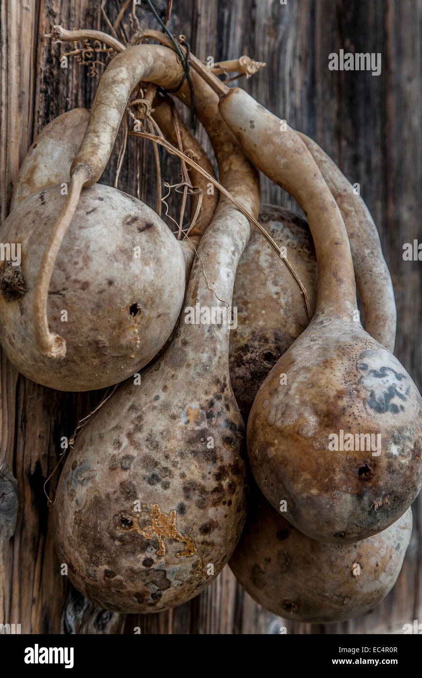 Calabash calabashes hi-res stock photography and images - Alamy