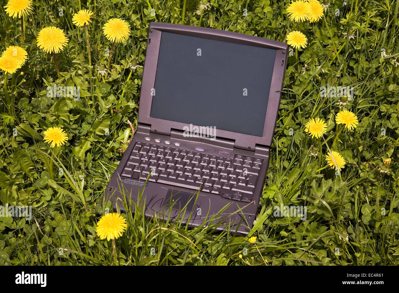 notebook in flower meadow Stock Photo - Alamy