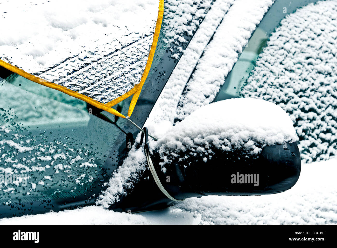 Anti freeze hi-res stock photography and images - Alamy