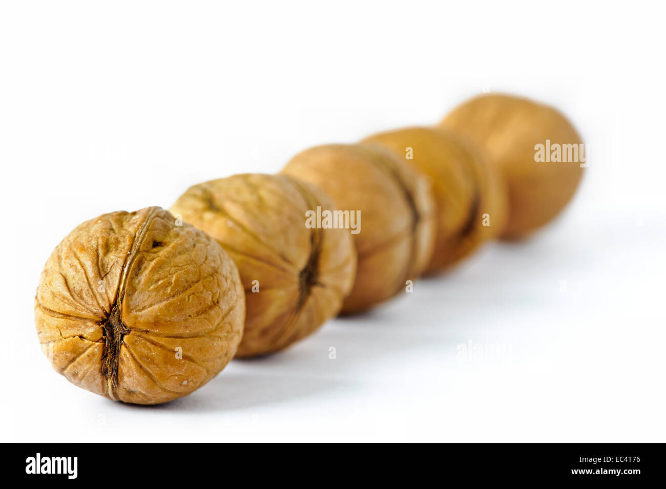 5 walnuts in series in a row Stock Photo - Alamy