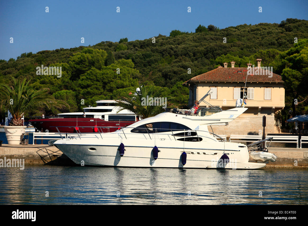 Croatia, Istrien, Brijuni Nationalpark, Insel Veli Brijun Stock Photo ...