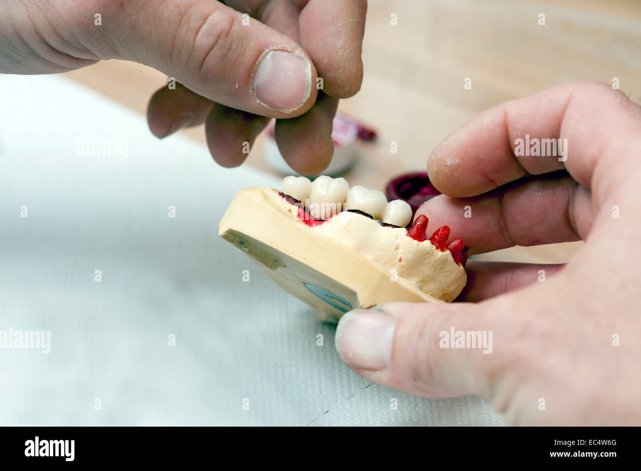 Jaw body parts hi-res stock photography and images - Alamy