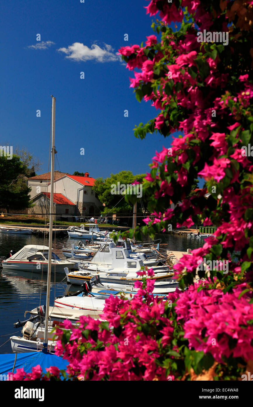 Croatia, Kvarner, Insel Ilovik, Ilovik Stock Photo - Alamy