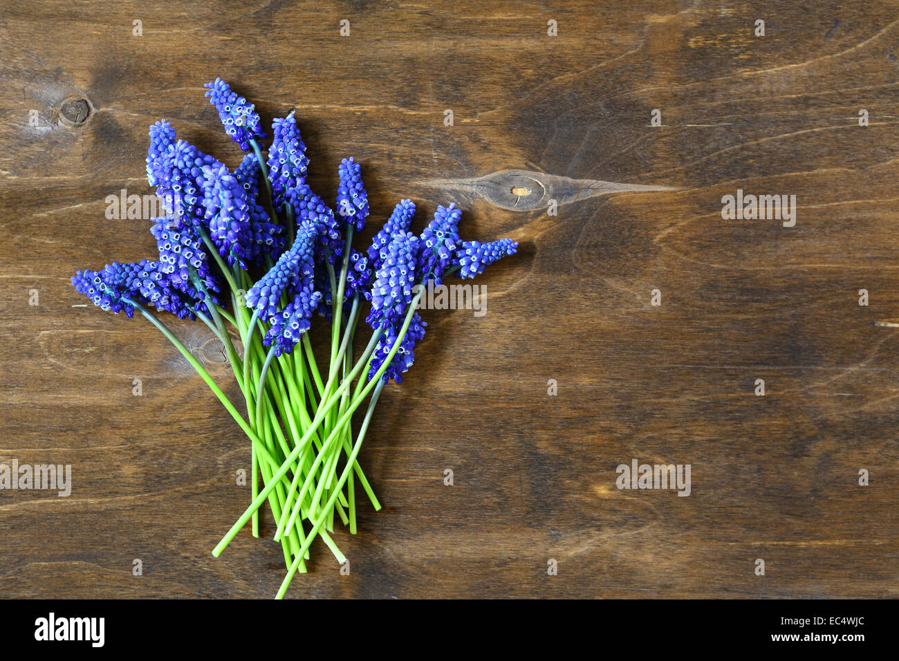 Hyacinth on wooden background, flowers. Top view Stock Photo - Alamy