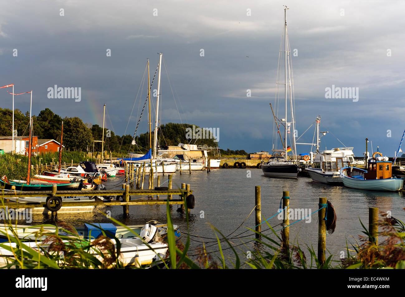 Moen marine hi-res stock photography and images - Alamy