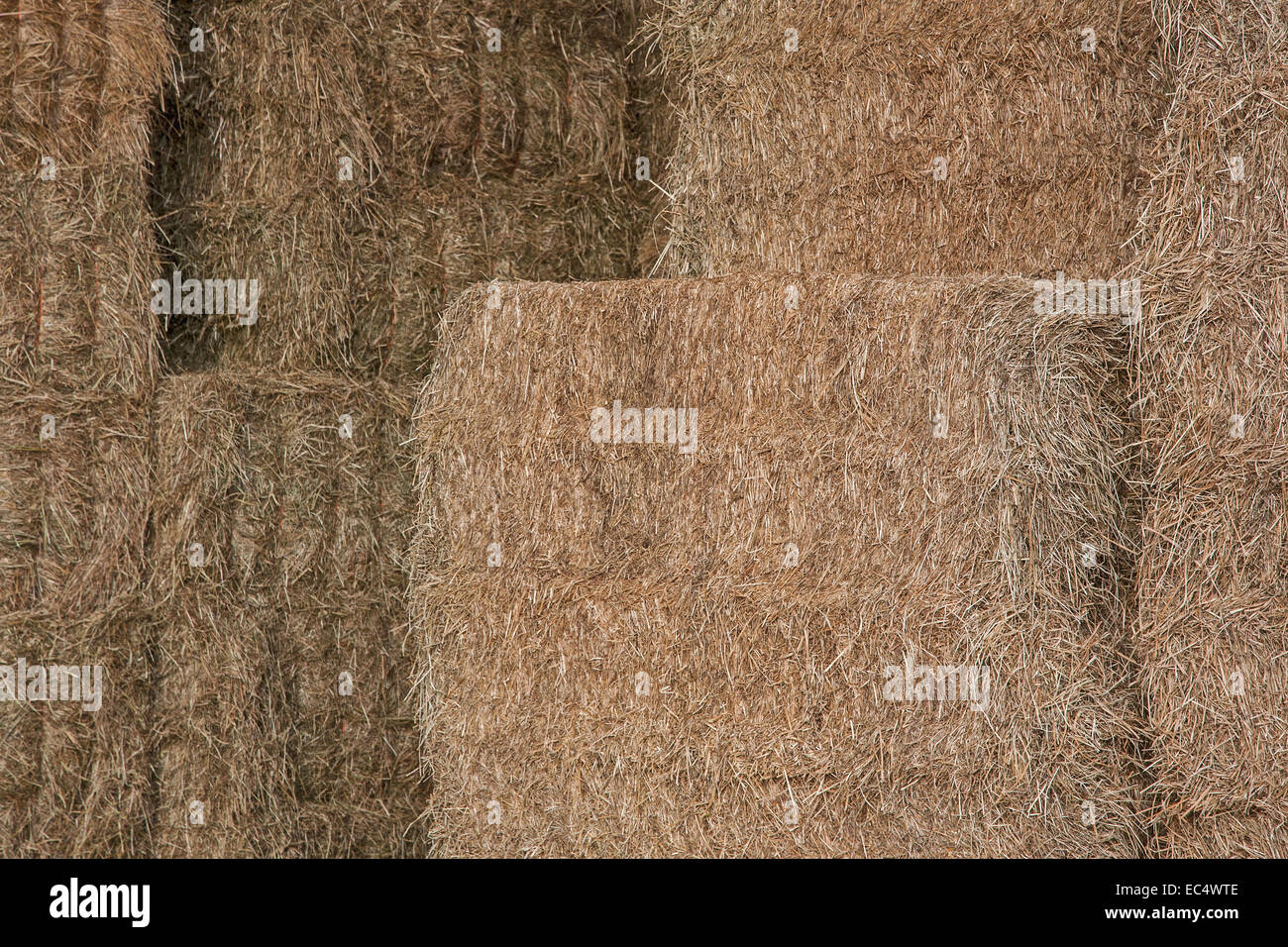Stacked hay bales Stock Photo - Alamy