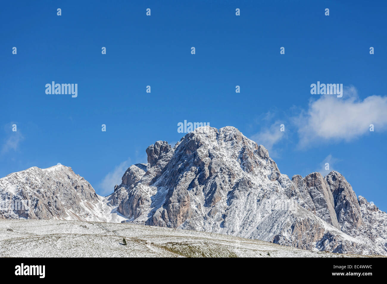 Rosengarten rose garden hi-res stock photography and images - Alamy